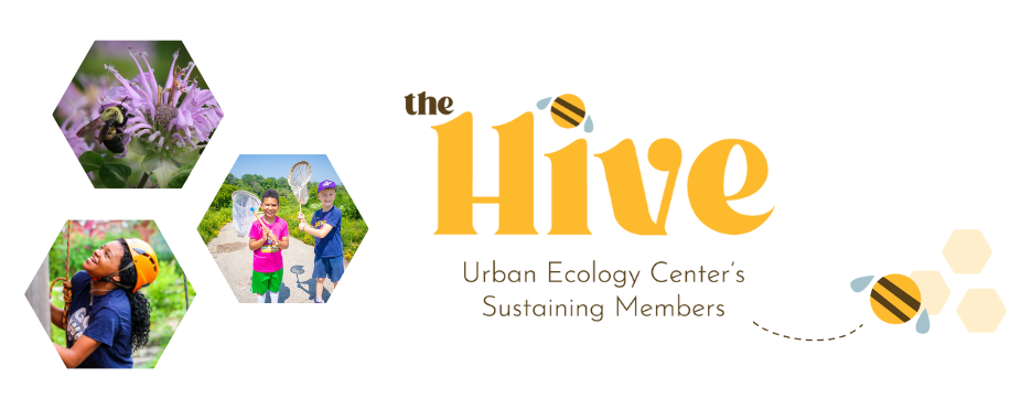 The Hive: UEC's Sustaining Members